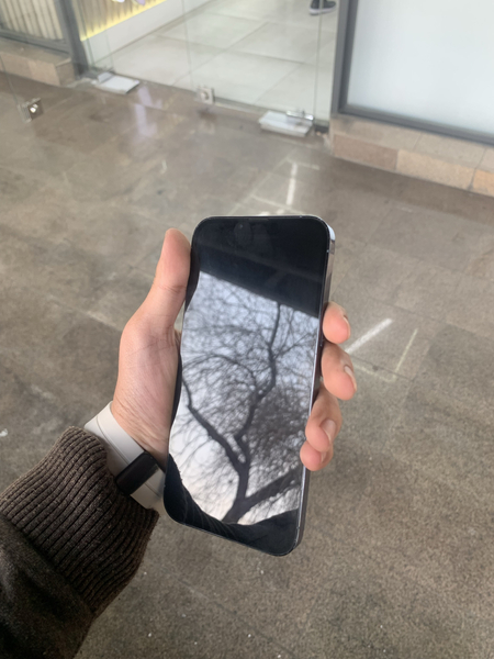 iPhone 13 Pro Max IDEAL