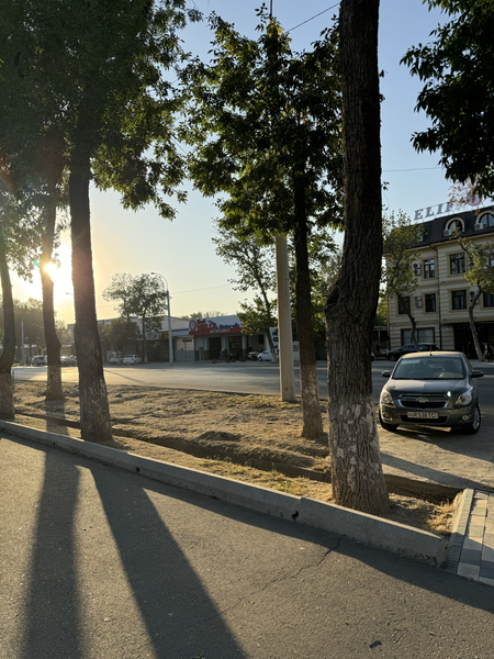 Продаётся свая НЕ ЖЕЛОЕ ПОМЕЩЕНИЯ Чиланзарский район Ор т - 19 кв