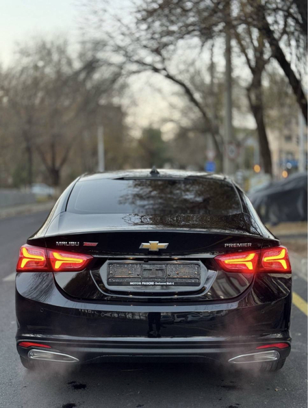 Год 2022 Malibu Primer