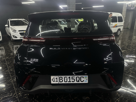 BYD seagull full