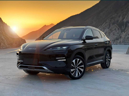 BYD Champion 2024 год