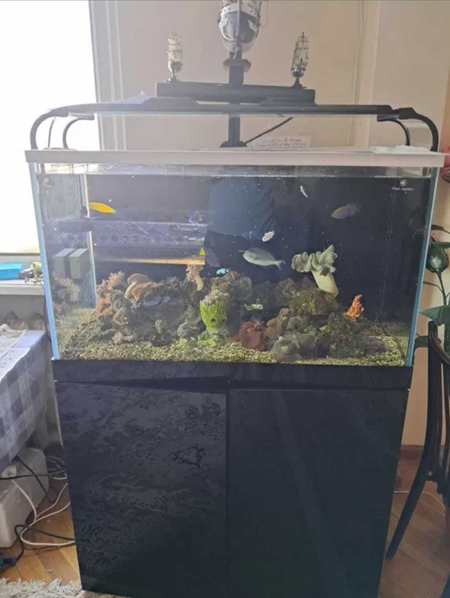 Akvarium sotiladi.