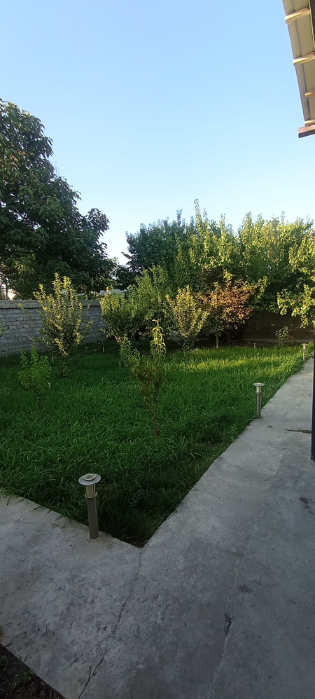 Dacha arenda дача аренда kunlik dacha