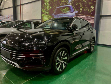 Byd Son Plus Chempion