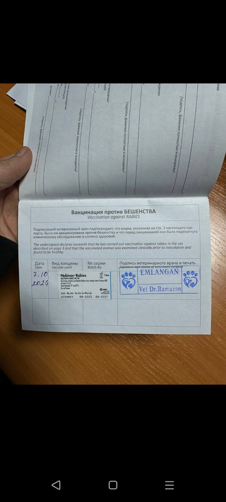 Продам в срочном порядке кошечку