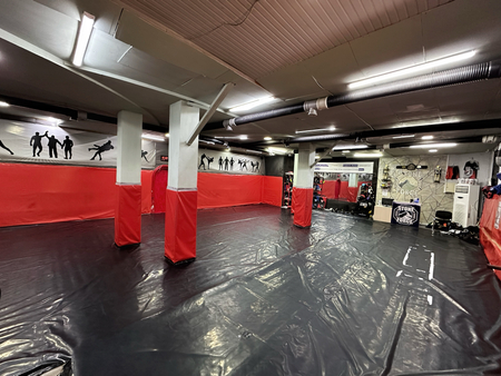 Смешанные единобортства / MMA / Борьба