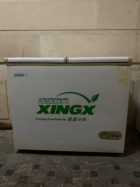 Морозильник XINGX. Artel