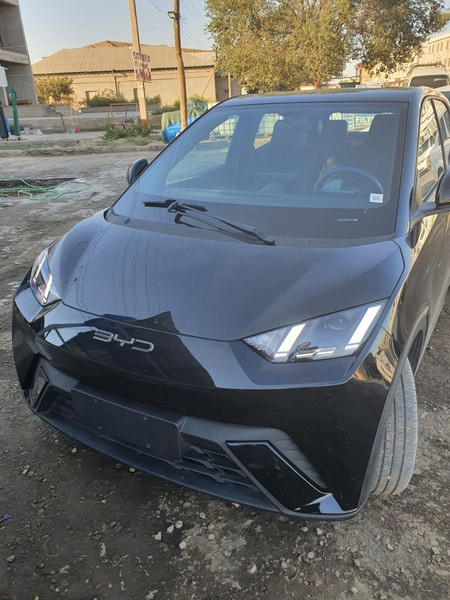 Byd seagull sotiladi 2023y