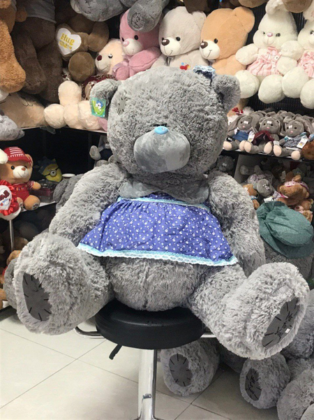 Teddy ayiqlarmiz