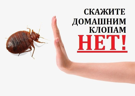 Дезинфекция против всех насекомых .