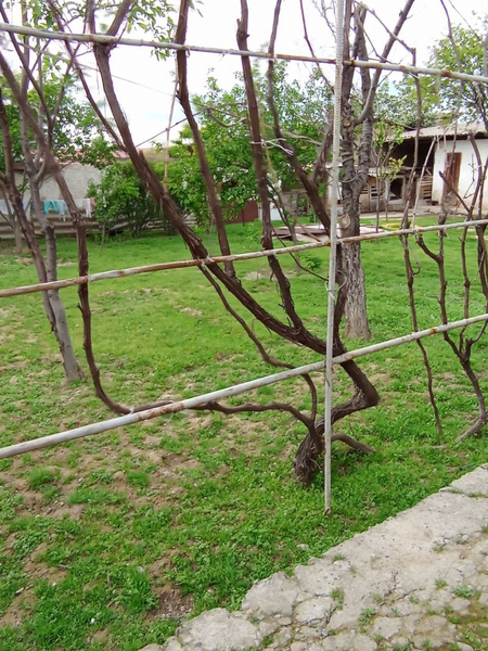 Участка сотилади срочна