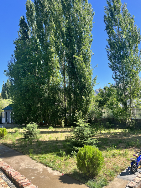 Сдаем дачу для семейных на шикарной природе