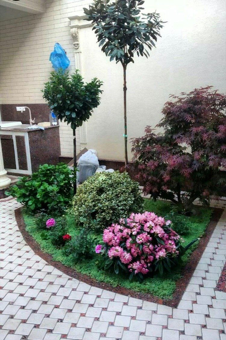 Садовник каму нужуна
