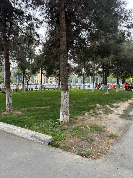 Айбек метро (Шох мед центр) 26 кв.м