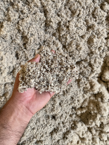 Kunjara. Shulxa sotiladi