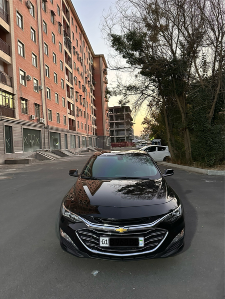 malibu premier 2021 top toza