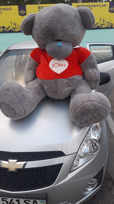 Teddy ayiglarmiz