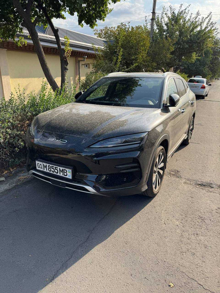 byd chempion 605 qora