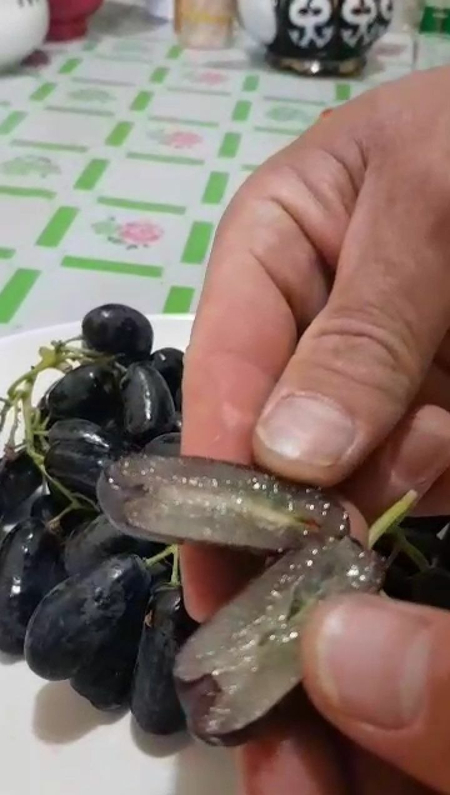 Avatar , xeloyin va yangi chiqgan sortlar