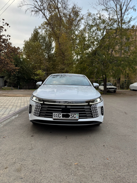 BYD Chazor Full pazitsiya 2023 yil