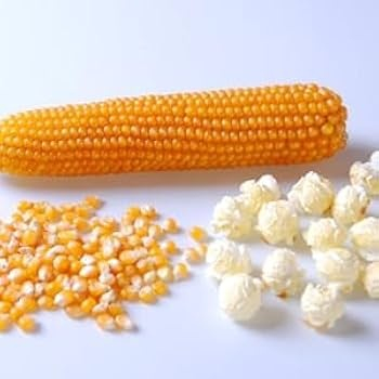 pop corm america Popcorm doni  pop corm