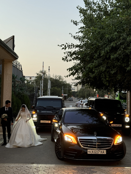 222 Mers malibu xizmati kortej_bukhara перевозки
