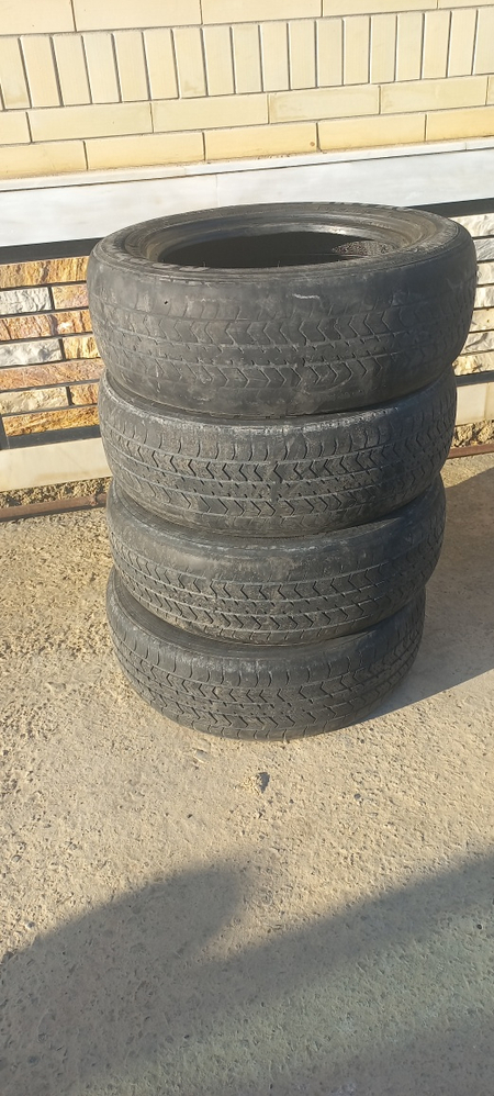 Shina Sotiladi Rabochi R 13 165/65