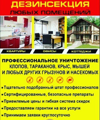 Дезинфекция от насекомых и грызунов