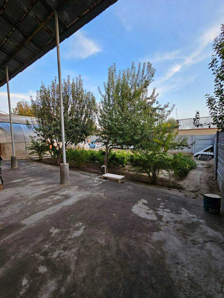 Arzon fayizli xovli
