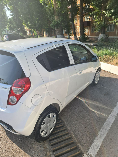 Spark xolati zur