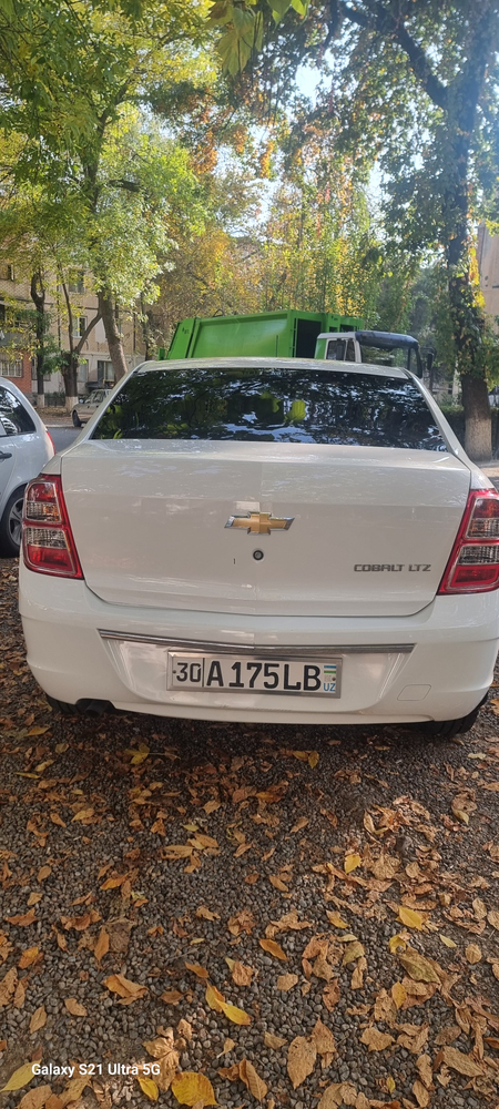 Kobilt 2024 yil salondan chiqqan 29.000 yurgan