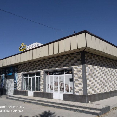 Tunikabont xizmatlari
