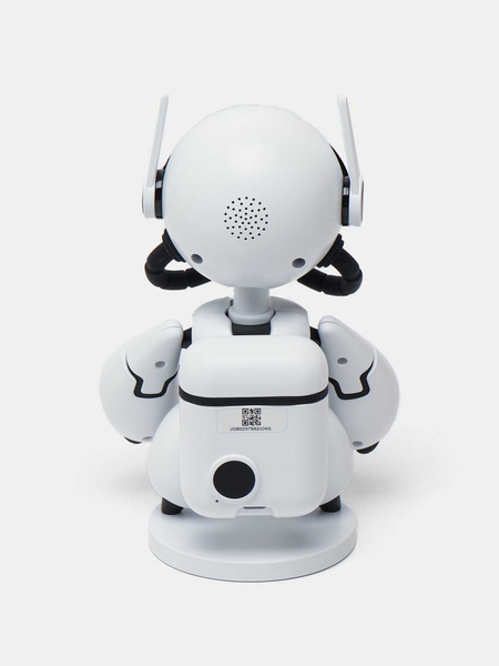 Robot camera / Робот камера