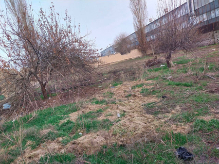 Зангиотада 14 сотх сотилади склад ишлаб чикаришга срочно м39 дан 1.5км