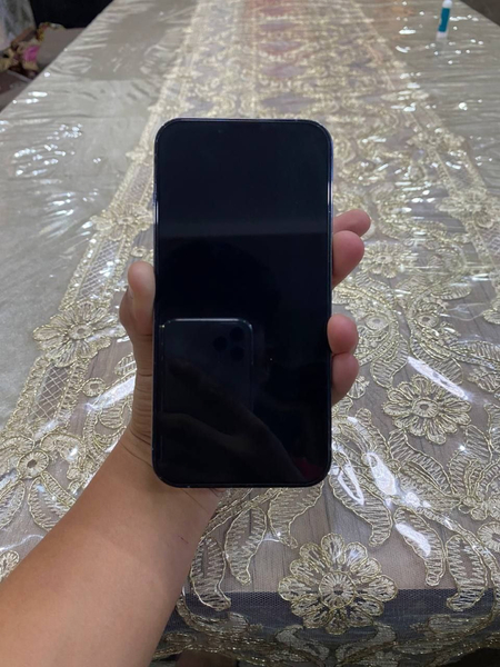 iPhone 13 Pro 256 Gb