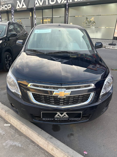COBALT QORA 2024 yılı
