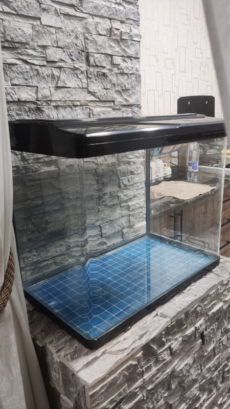 Xitoy akvariumlari