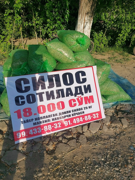 СИЛОС СОТИЛАДИ
КОПИ
18 000 сум.
100 % Донли.