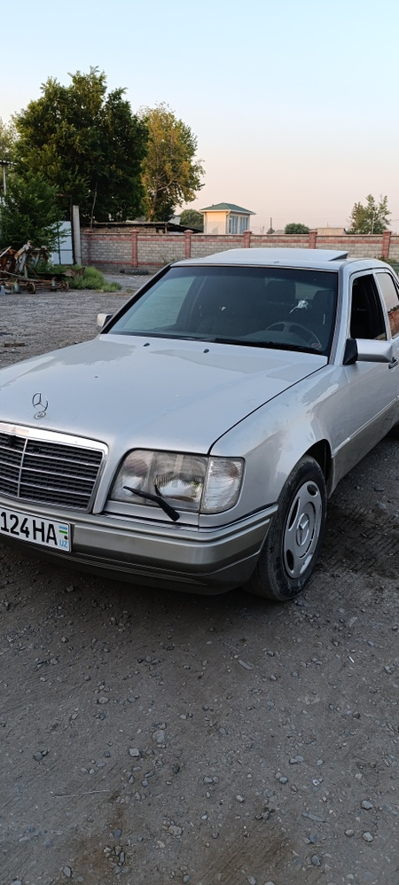 Bekorchila bezovta qimelar