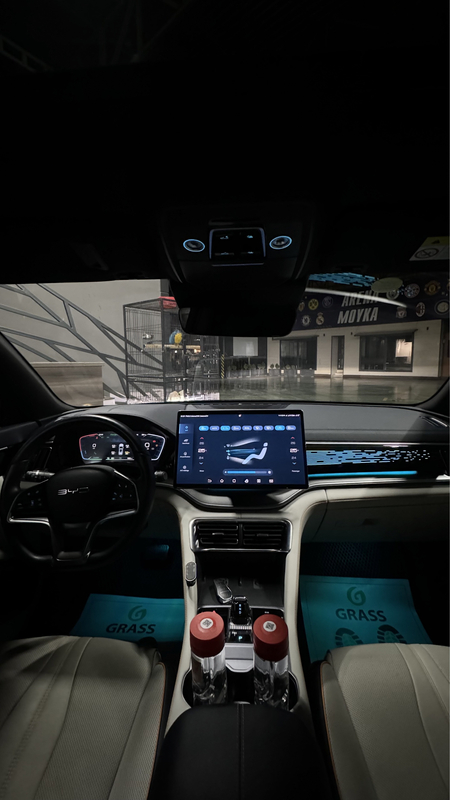 BYD Song Champion(Chempion) 2023