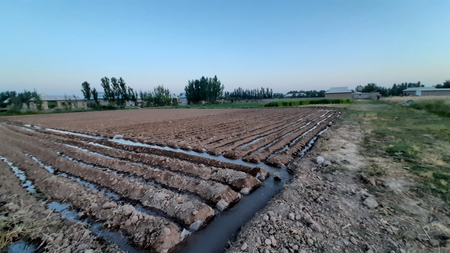 Agarot sotiladi  15.7 sotix