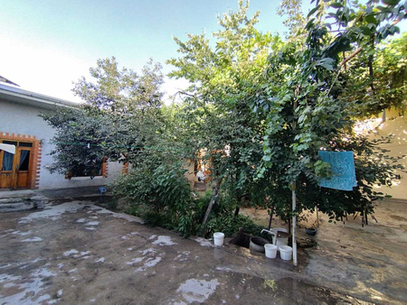 № 1342  Хавли площадью 4 соток в массиве Согдиана
