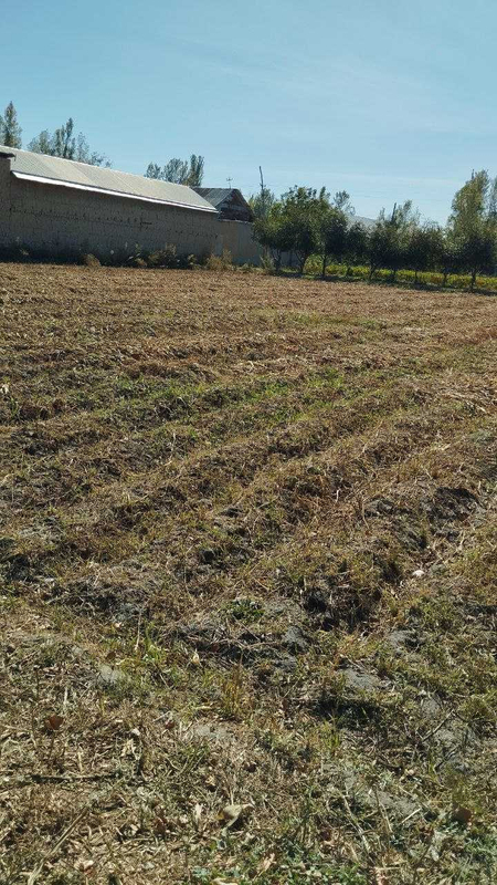 Yer 16 sotix sotiladi
