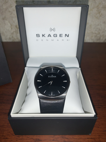 Часи Skagen SKW6017
