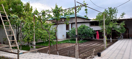 Jizzax shahrida hovli sotiladi 6 sotix