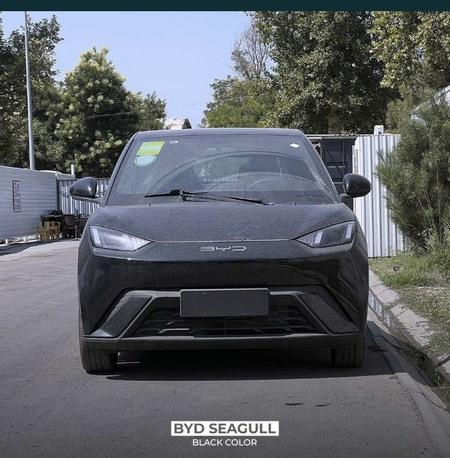 BYD Seagill full