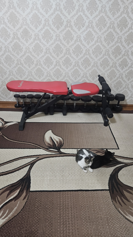 Gantel sotiladi rezina zavod xammasi yangi pachti