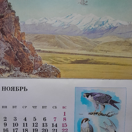 Календаоь настеный птицы узбекистана