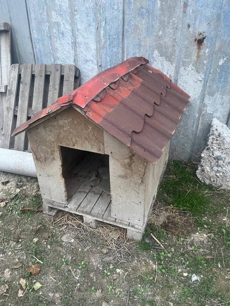 Собачий дом/дом для собак