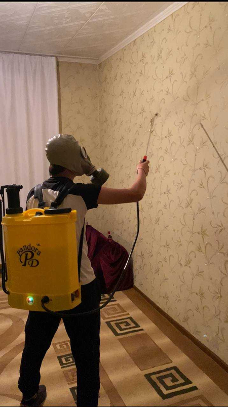 дезинфекция Дезинсекция без запаха (Dezinfeksiya Dezinseksiya)